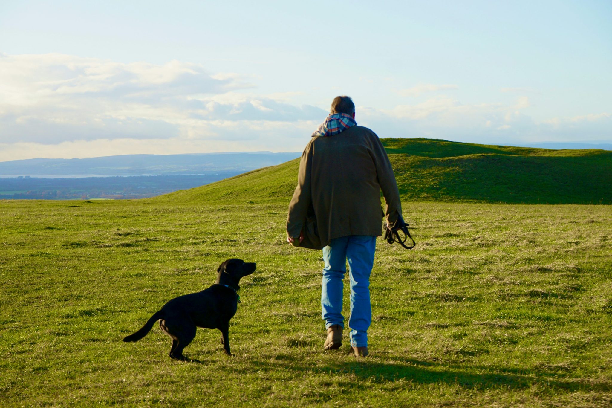 20+ Best Dogs for Men - ThepawVine