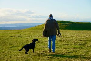 20+ Best Dogs for Men - ThepawVine